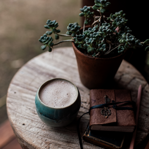 Mocha - Daily Tonic 180g – Adaptonic